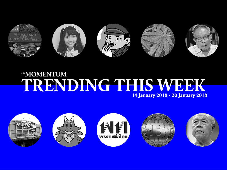 Trending This Week: ไข่แมวหายตัว | THE MOMENTUM