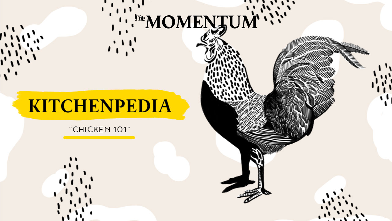 ไก่ 101: สารพัดส่วนไก่