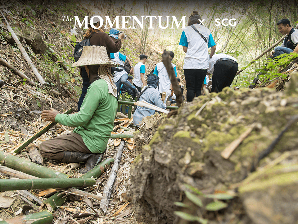 TheMO-SCG_thumbnail (1) | THE MOMENTUM