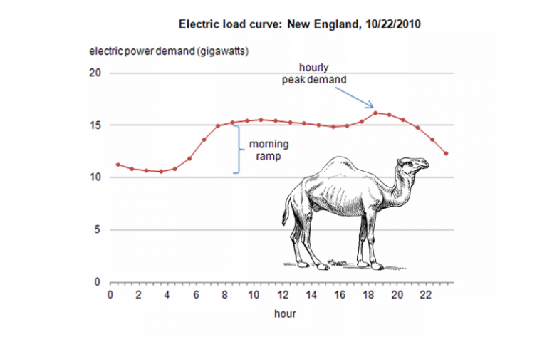 ไฟฟ้าจากแสงแดดกับ ‘เส้นโค้งเป็ด’ | THE MOMENTUM