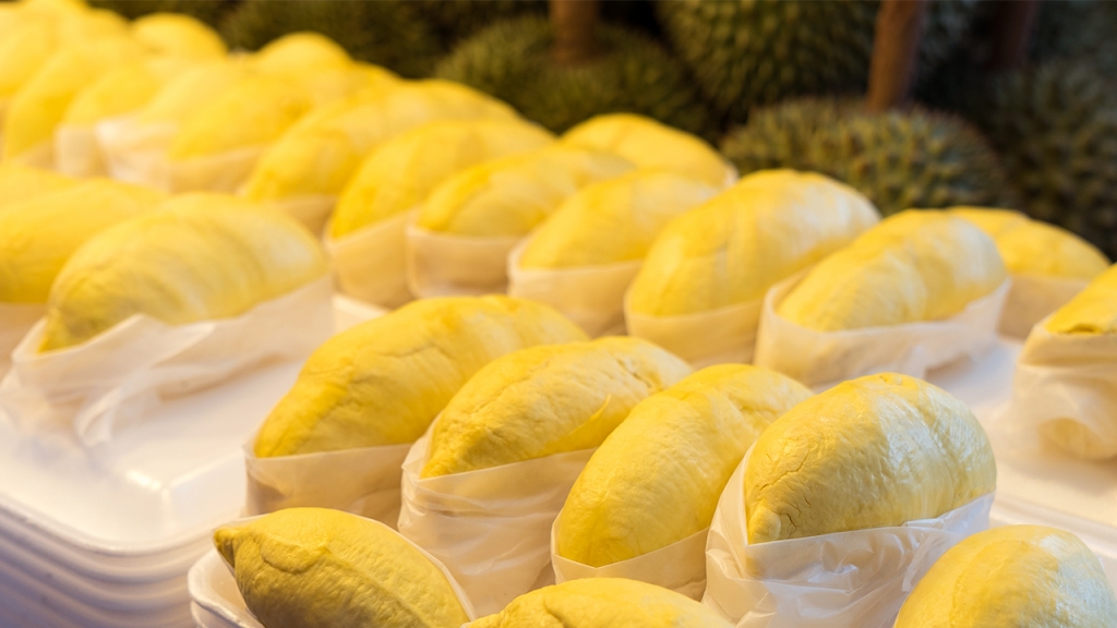 TheMO-Durian_cover | THE MOMENTUM