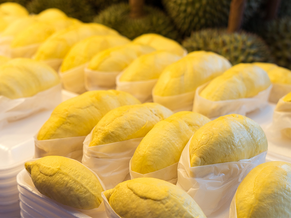 TheMO-Durian_thumbnail | THE MOMENTUM
