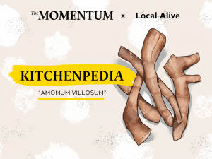 TheMo_Thumbnail-เร่ว | THE MOMENTUM