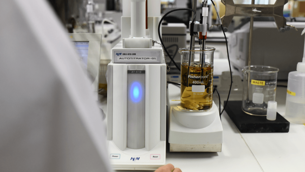 TheMo_Web-DMHT | THE MOMENTUM