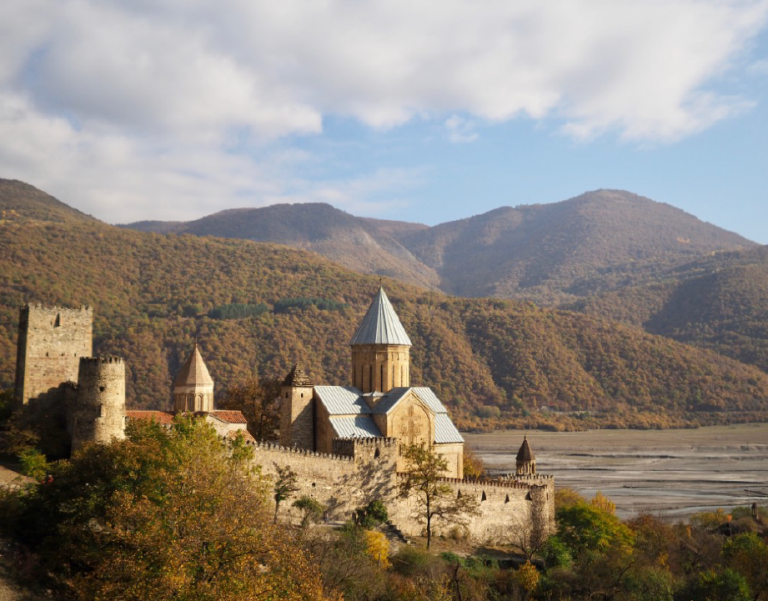 Gorgia-Thumbnail | THE MOMENTUM