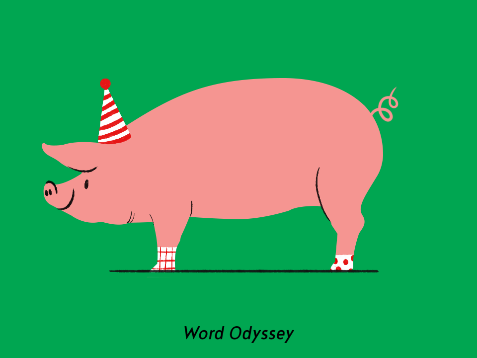 TheMo_Thumbnail-2019 | THE MOMENTUM