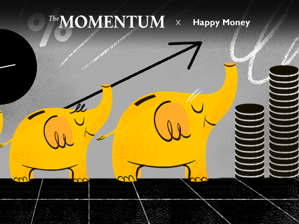 TheMo_Thumbnail-SET1 (2) | THE MOMENTUM