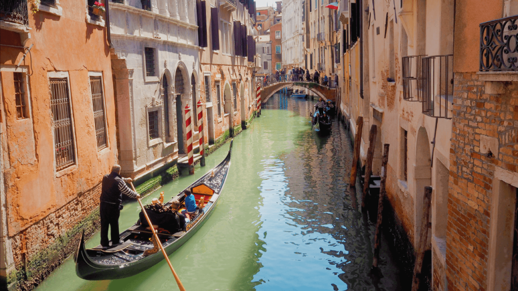 TheMo_Venice-Web | THE MOMENTUM