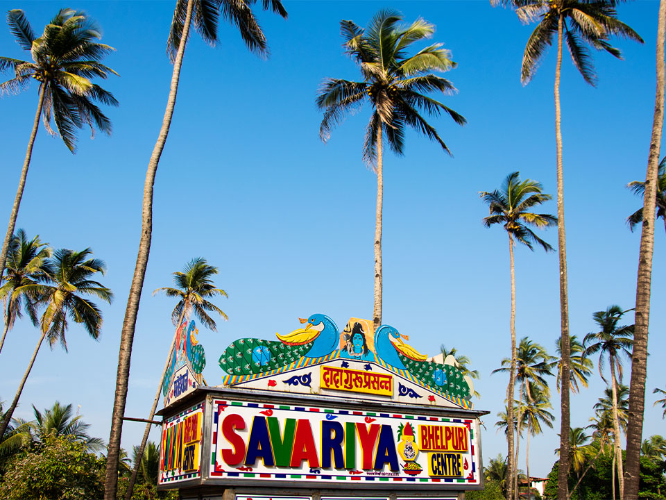 TheMo-Goa-India_thumbnail | THE MOMENTUM