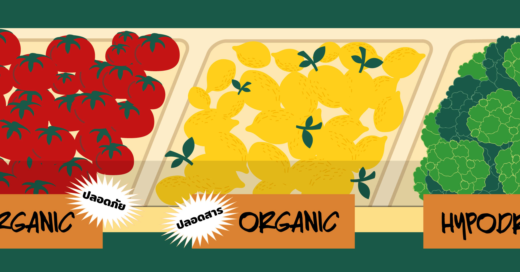 TheMO-Organic-WEB | THE MOMENTUM