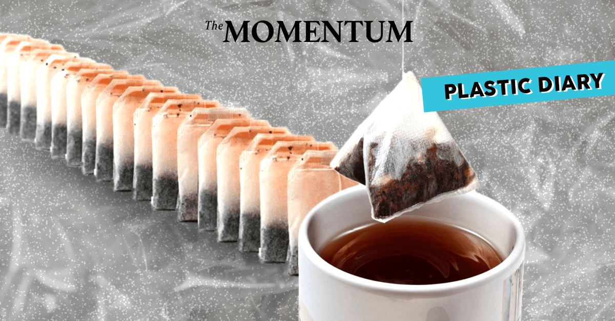 Plastic Diary : เมื่อถุงชาปล่อยละอองพลาสติกจิ๋ว คนรักการดื่มชาจะทำอย่างไร | THE MOMENTUM