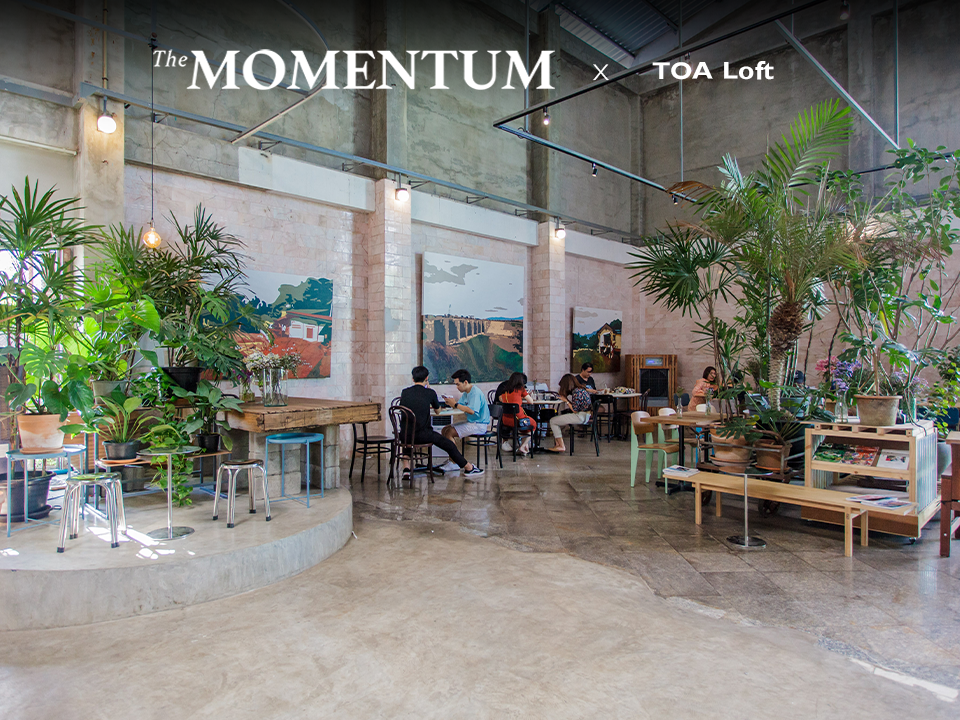 TheMo_TOA-Thumbnail | THE MOMENTUM