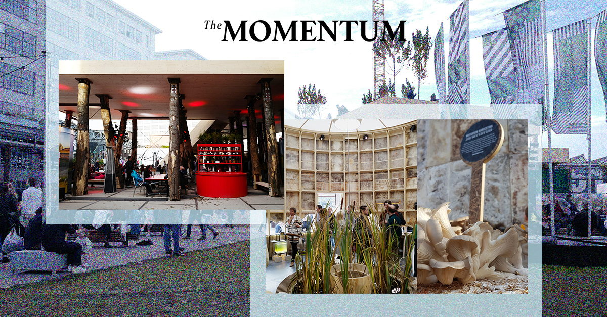 แนวคิดขั้นกว่าของ green movement ใน Dutch Design Week 2019 | THE MOMENTUM