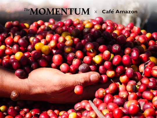 Amazon-Thumbnail | THE MOMENTUM