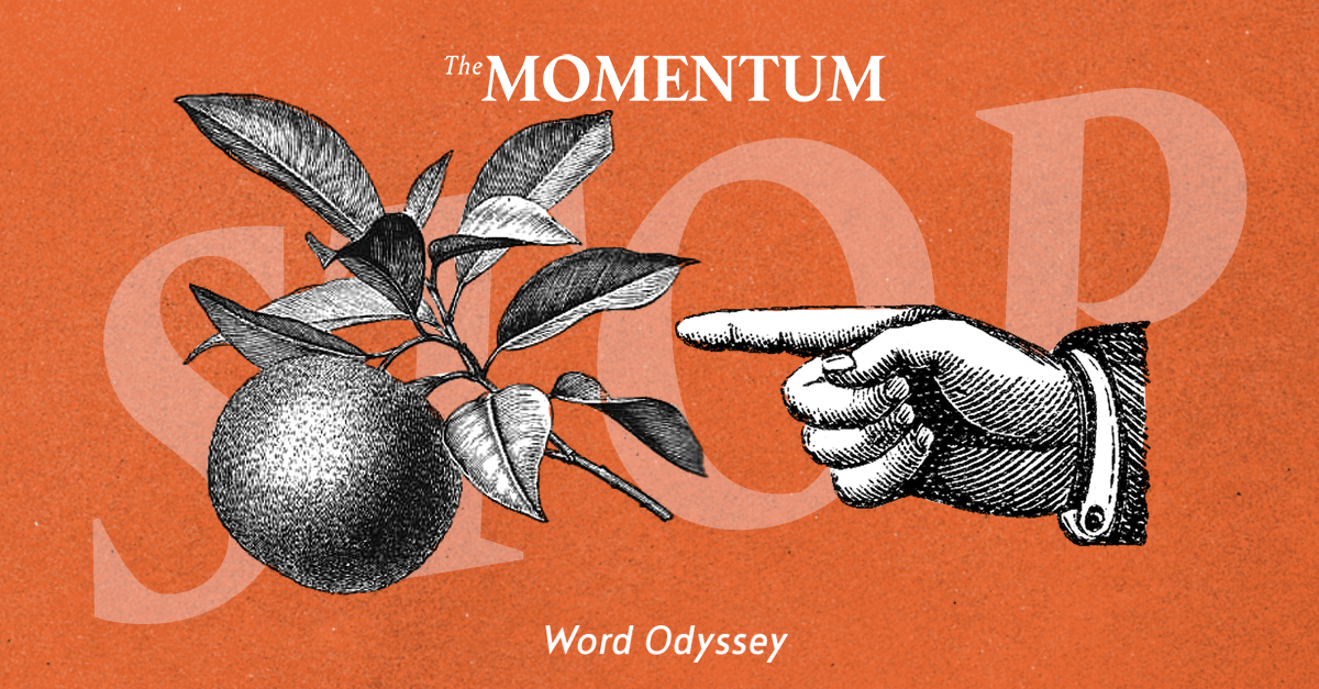 ส้มหยุด: เมื่อ orange เกือบเคยเป็น norange? | THE MOMENTUM