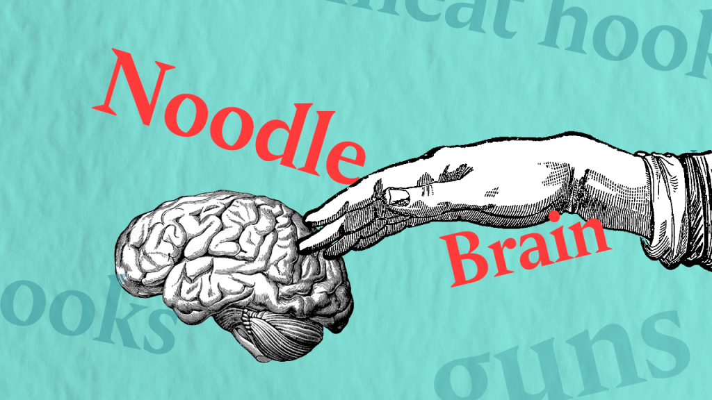 brain-Web_ | THE MOMENTUM