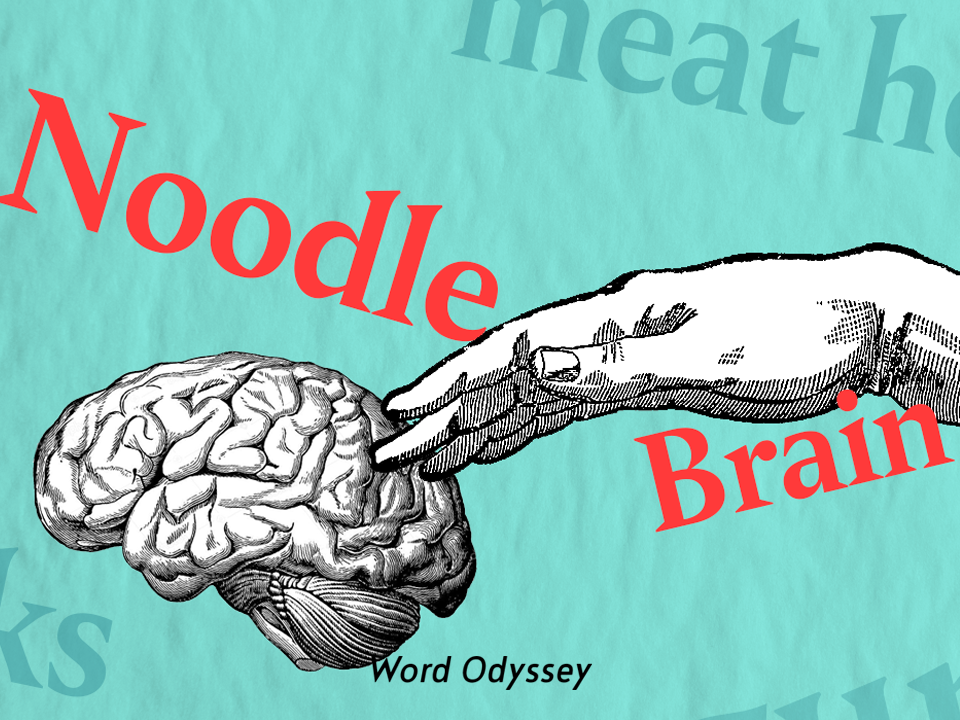 brain_Thumbnail_ | THE MOMENTUM