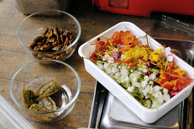 exofood (4) | THE MOMENTUM