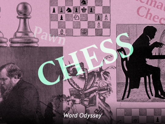 chess-Thumbnail | THE MOMENTUM