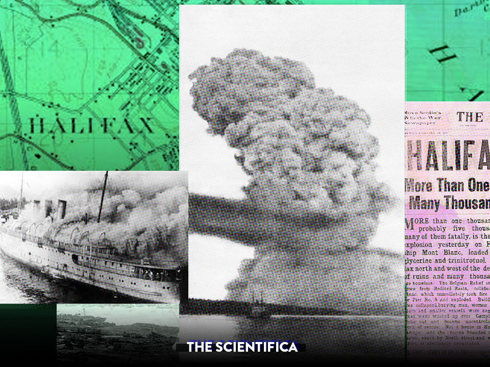 scientifica-Thumbnail | THE MOMENTUM