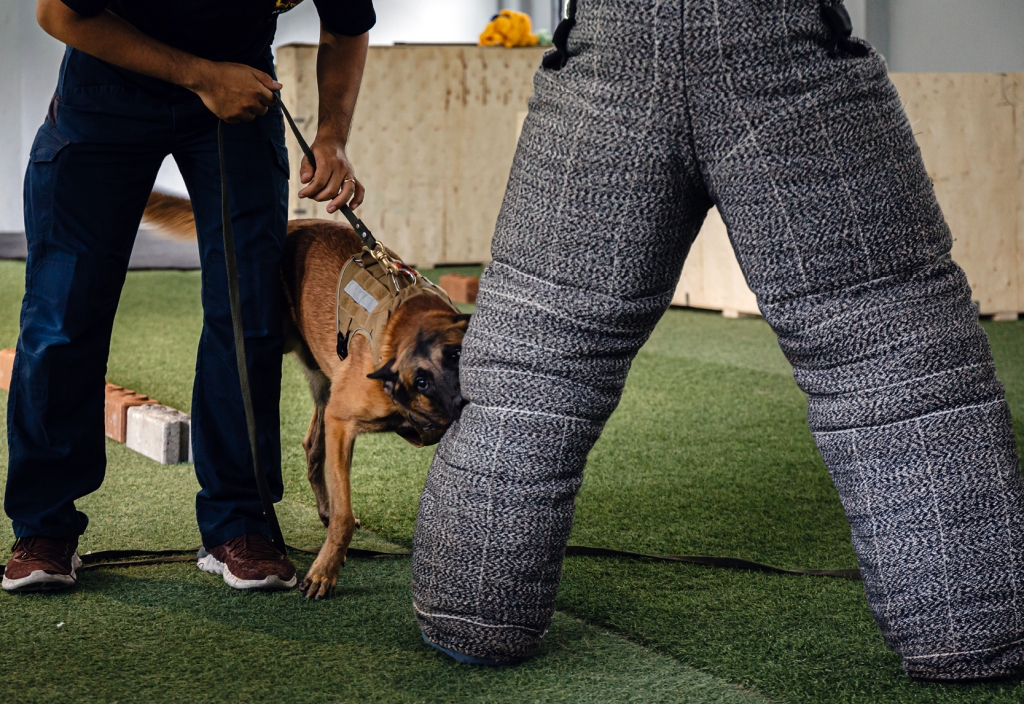 พิทักษ์ - รัก - สุนัข เรื่องราวของหน่วย K-9 ที่เป้าหมายคือความปลอดภัย ...