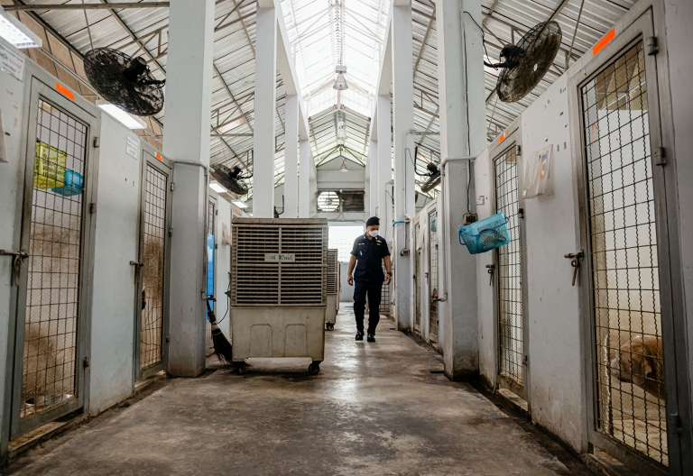 พิทักษ์ - รัก - สุนัข เรื่องราวของหน่วย K-9 ที่เป้าหมายคือความปลอดภัยของสังคม