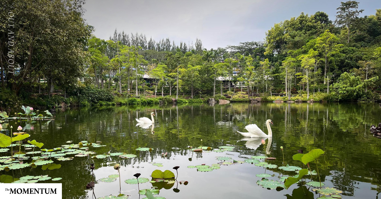 InterContinental Khao Yai Resort พักผ่อนใกล้เขาใหญ่อีกนิดให้แนบชิดธรรมชาติ