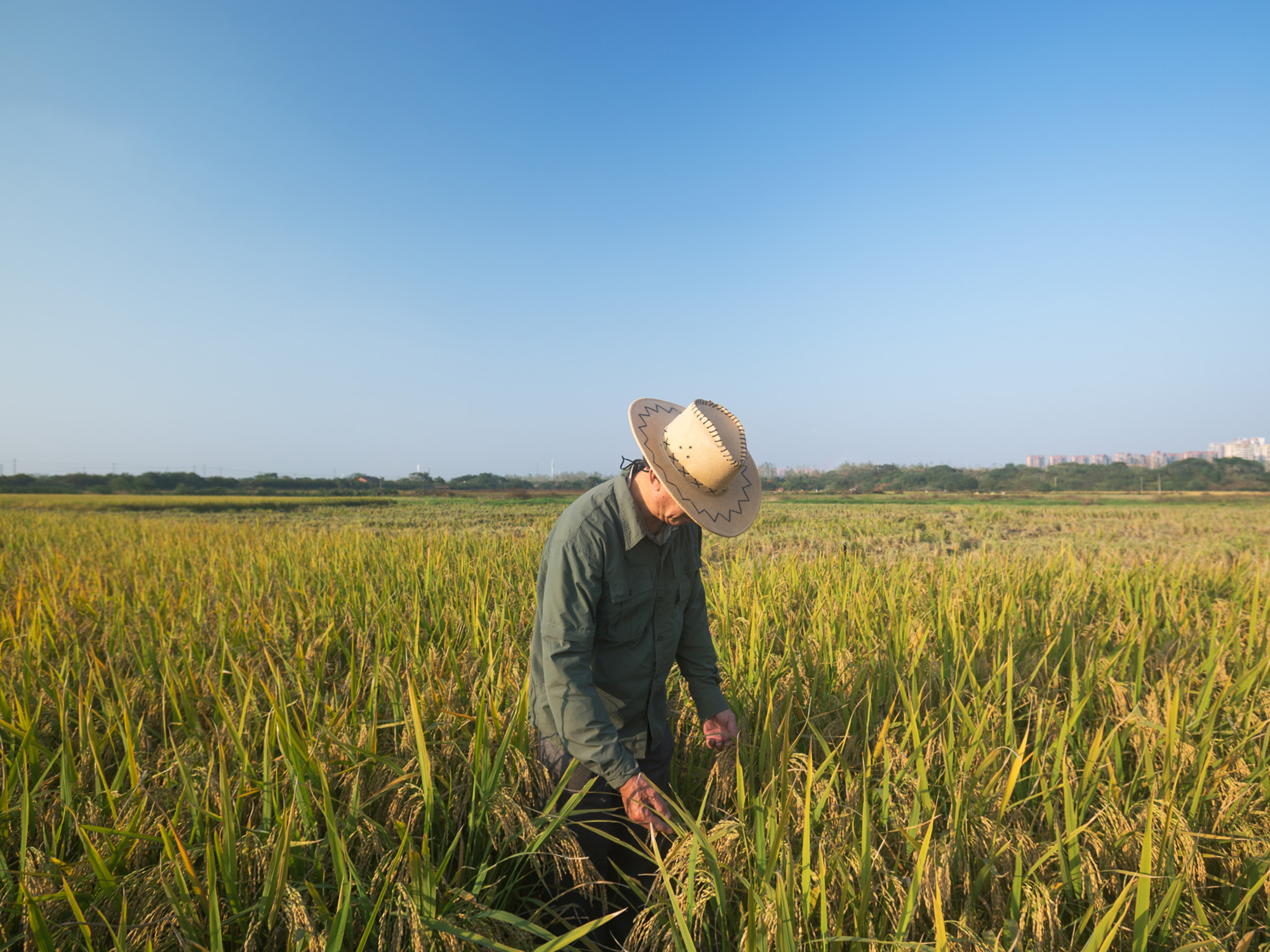 Wave BCG x Spiro Carbon ‘ข้าวคาร์บอนต่ำ’ ทางเลือกใหม่ที่ยั่งยืนกว่า สำหรับเกษตรกรไทยและผู้บริโภค