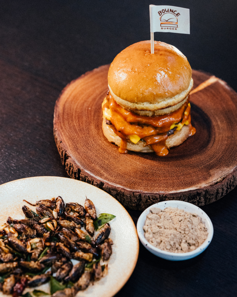 Bounce Burger เบอร์เกอร์รสชาติไทยๆ ที่เต็มไปด้วยโปรตีนจากจิ้งหรีด